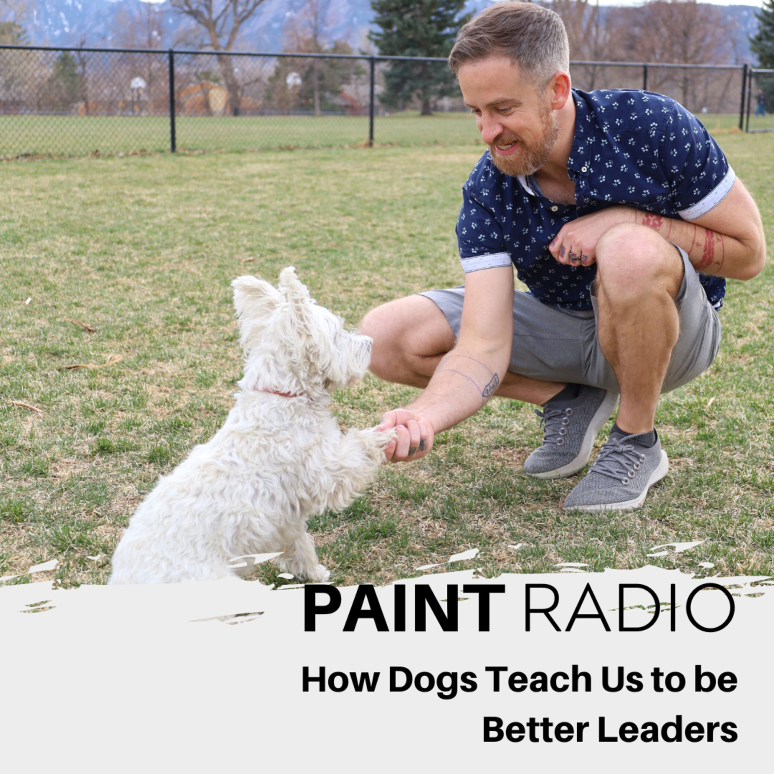 What Dogs Teach Us About Leadership - APC